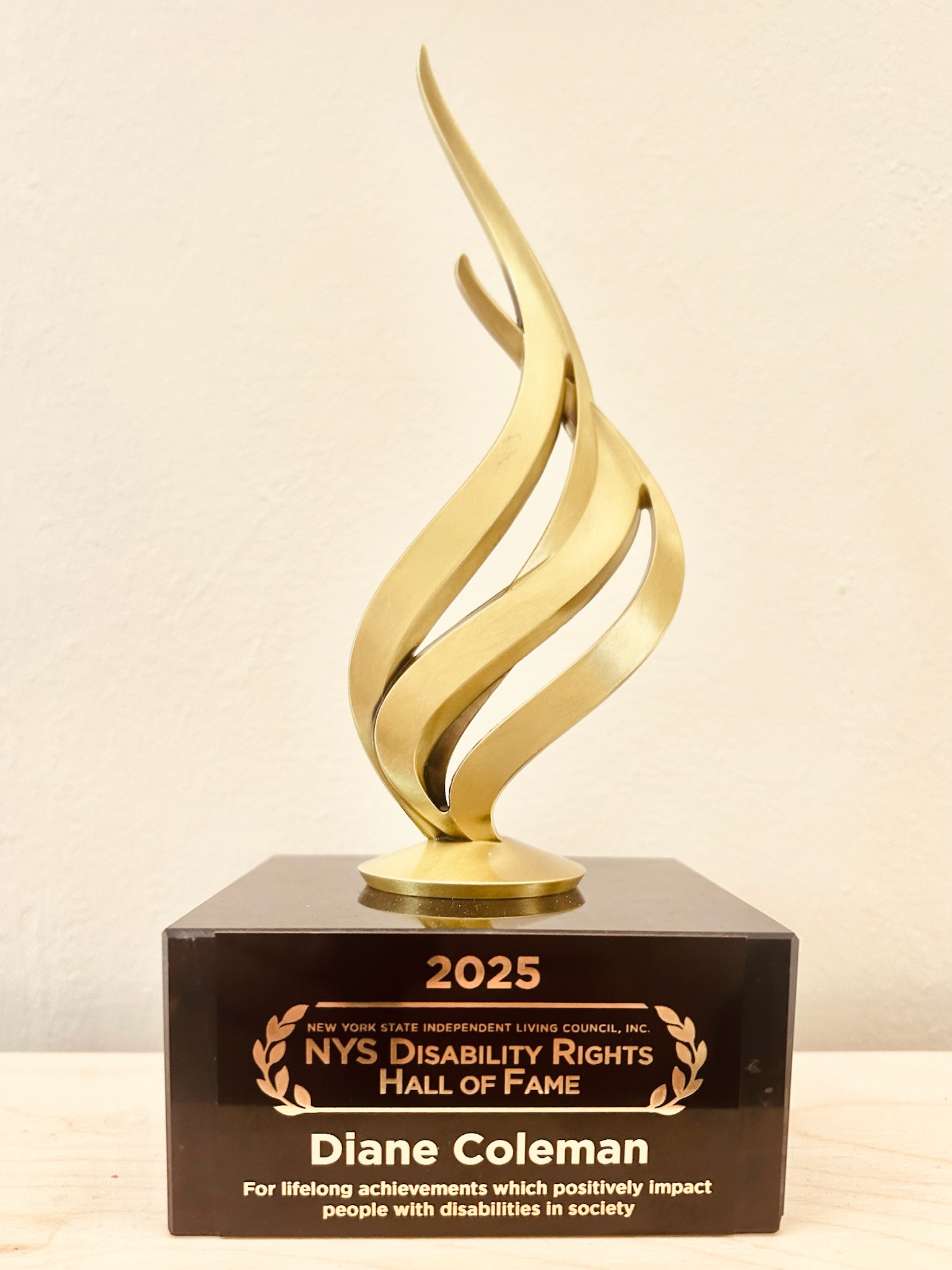 Diane Coleman Inducted Into New York State Disability Rights Hall of ...